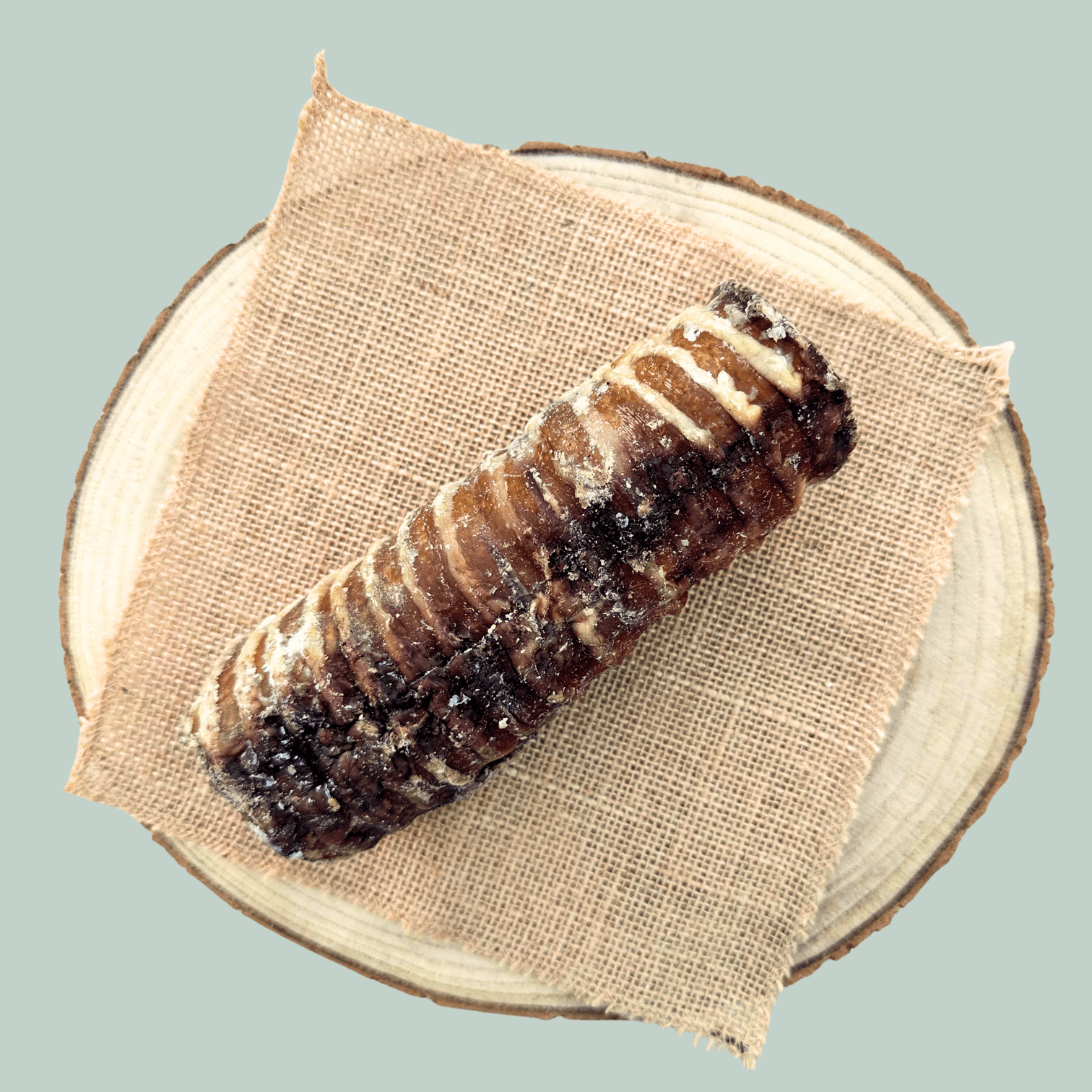 Dried Beef Trachea I Natural Treat for Dogs – Wellness for Woofs