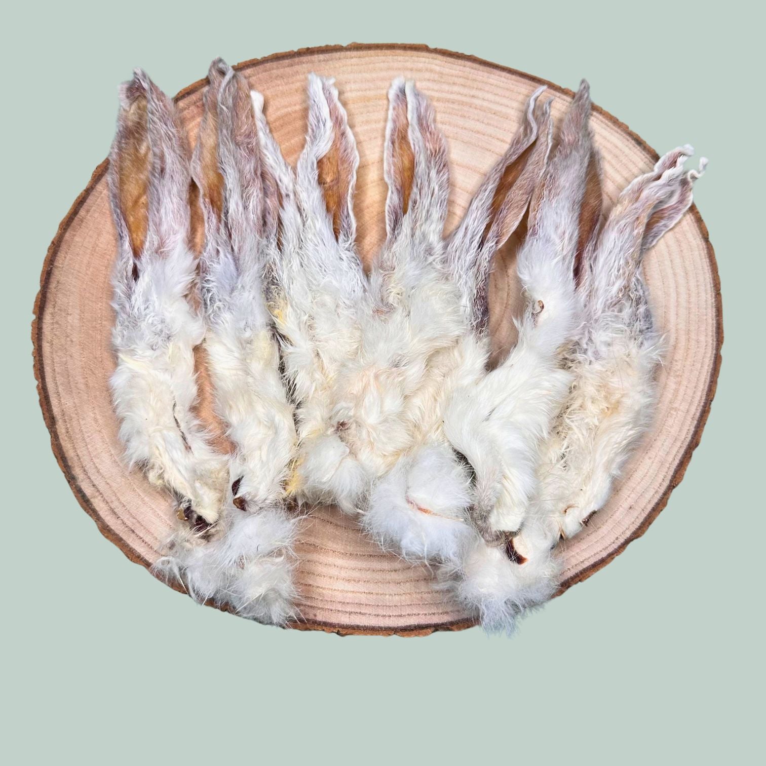 Rabbit Ears with Fur I Natural Treats for Dogs – Wellness for Woofs