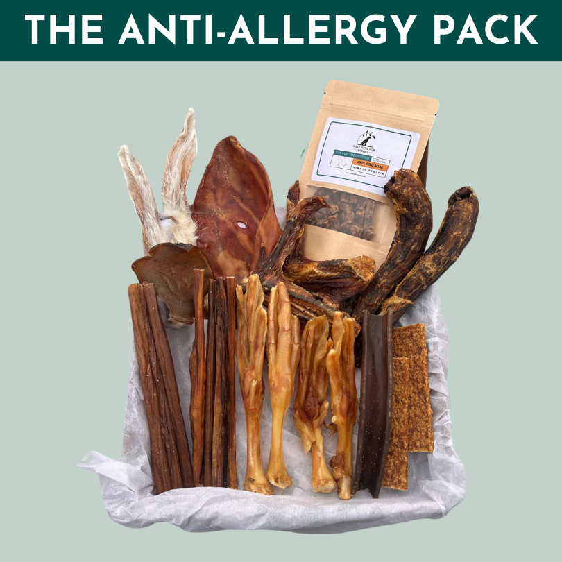 The Anti-Allergy Pack I Natural Treat Boxes for Dogs – Wellness for Woofs