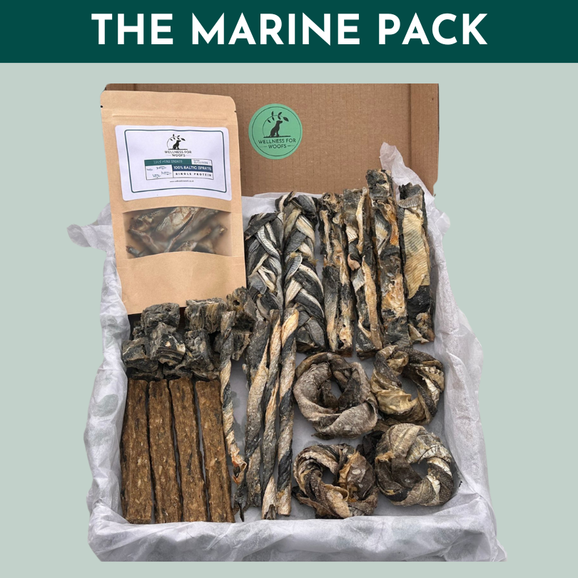 The Marine Pack I Natural Fish Treat Boxes for Dogs – Wellness for Woofs